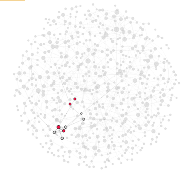The promise of a network approach for policing research | PONET Project